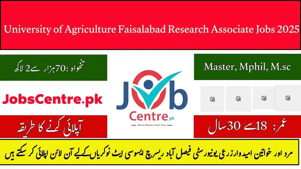 University Of Agriculture Faisalabad Research Associate Jobs 2025 » Jobs Centre